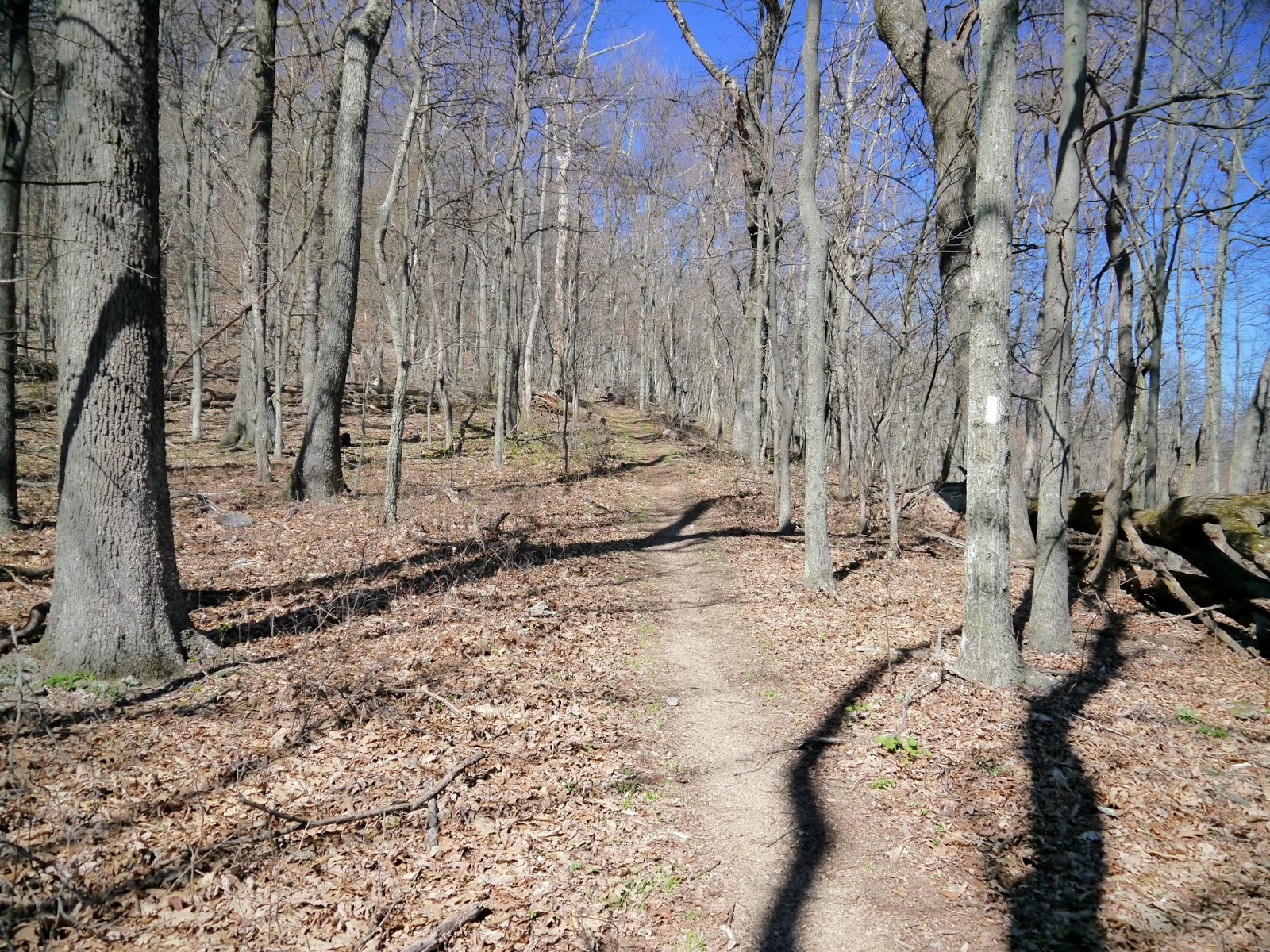 American Travel Journal: Riprap Trailhead to Blackrock Gap ...