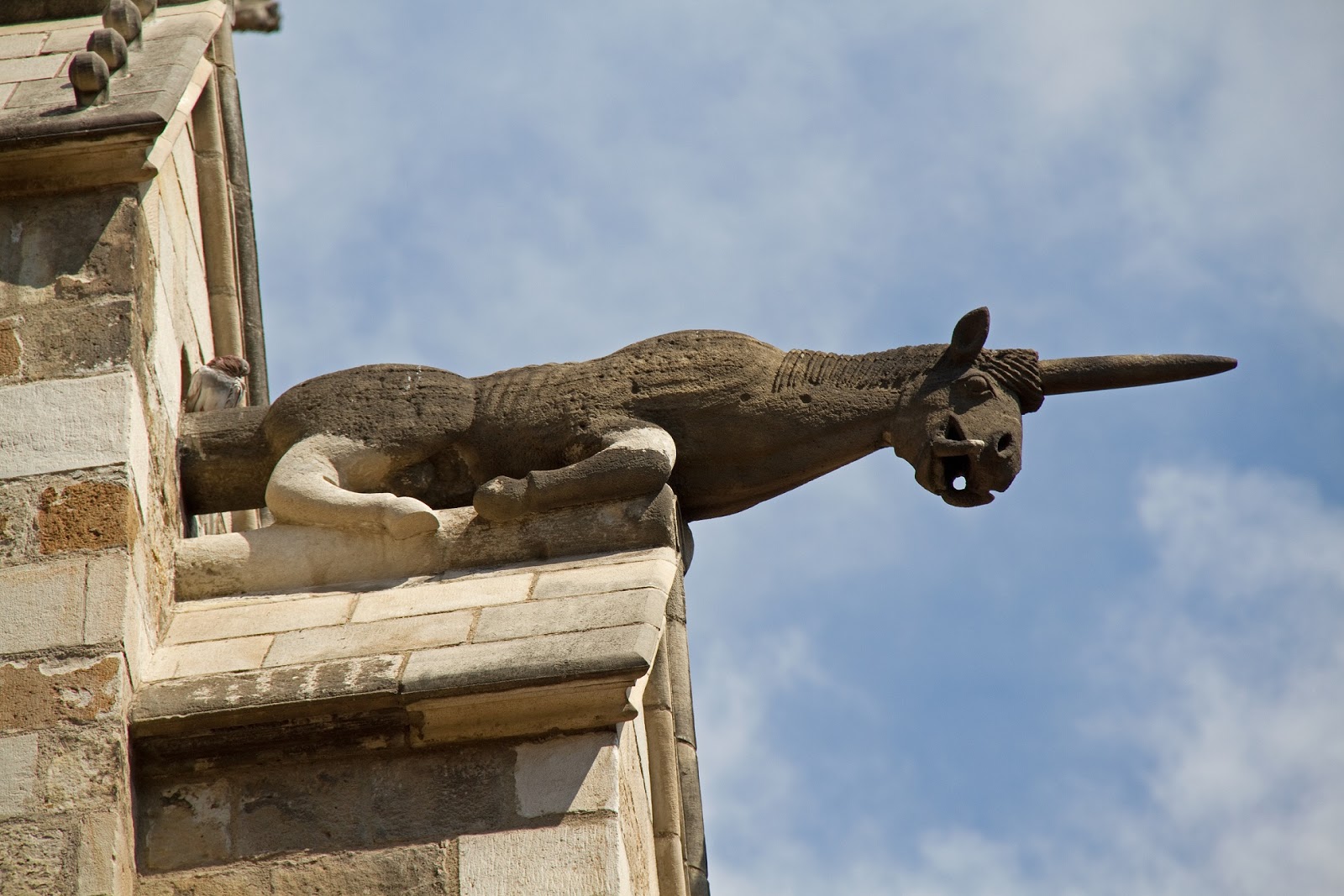 Iconografía | Gárgolas ~ HISTORIA DEL ARTE 2.0