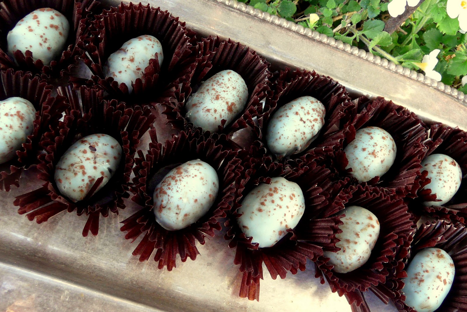 Speckled Robin's Egg Truffles -- Recipe & Tutorial Featured at the ...