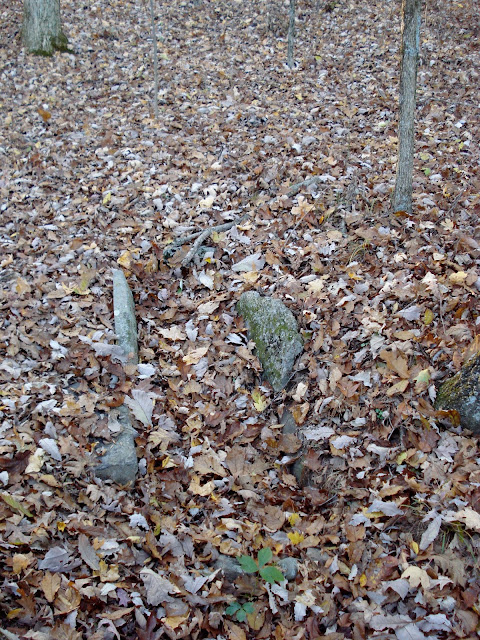 Experiencing Illinois: Millstone Bluff