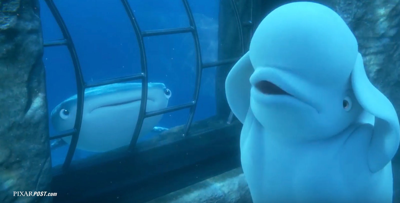 New 'Finding Dory' Trailer - A Glimpse at Dory's Parents and Explore ...