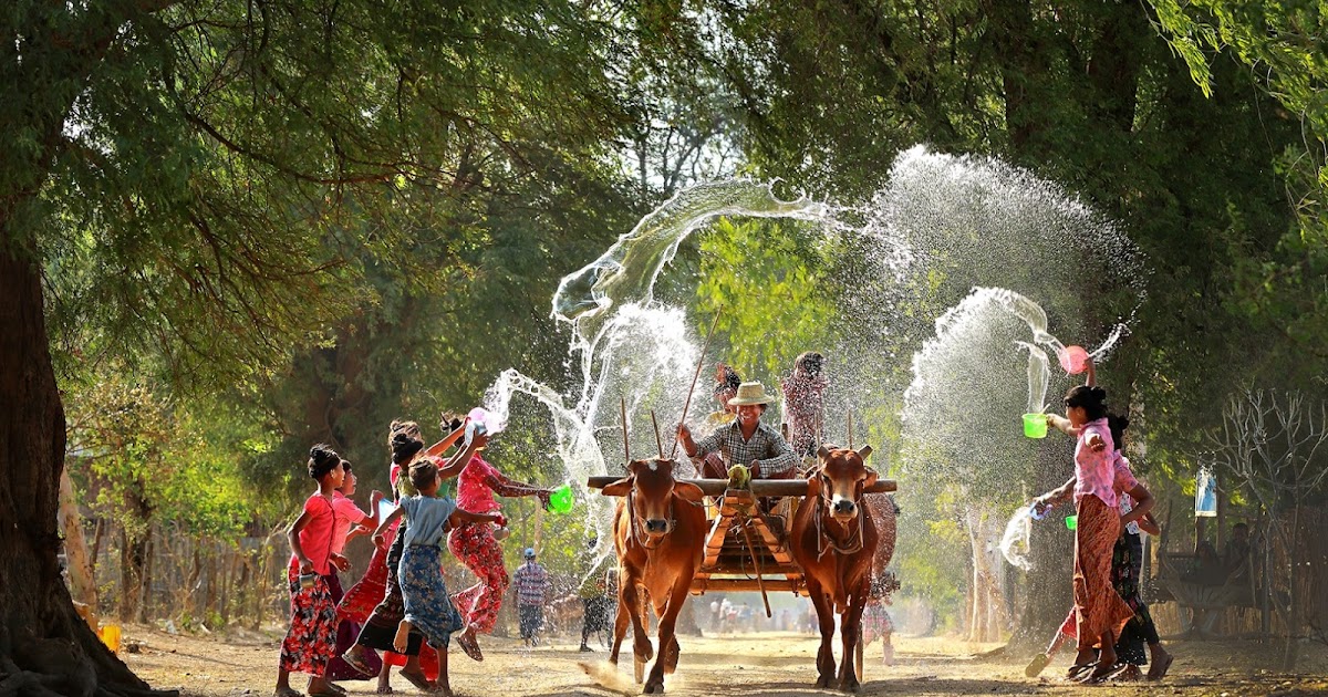 14 Burmese May pan chi