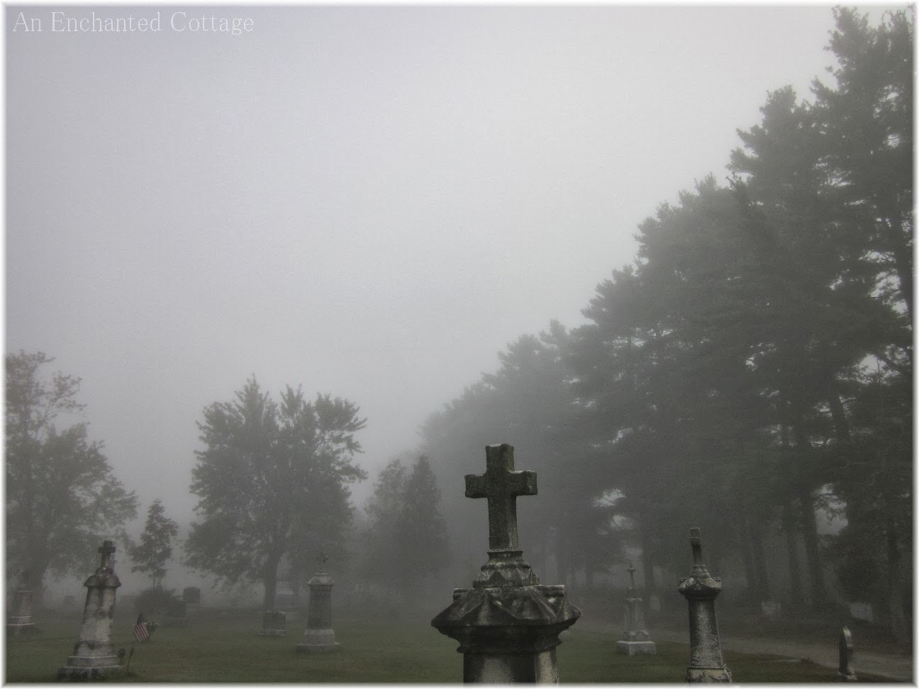 An Enchanted Cottage: A foggy morning walk...