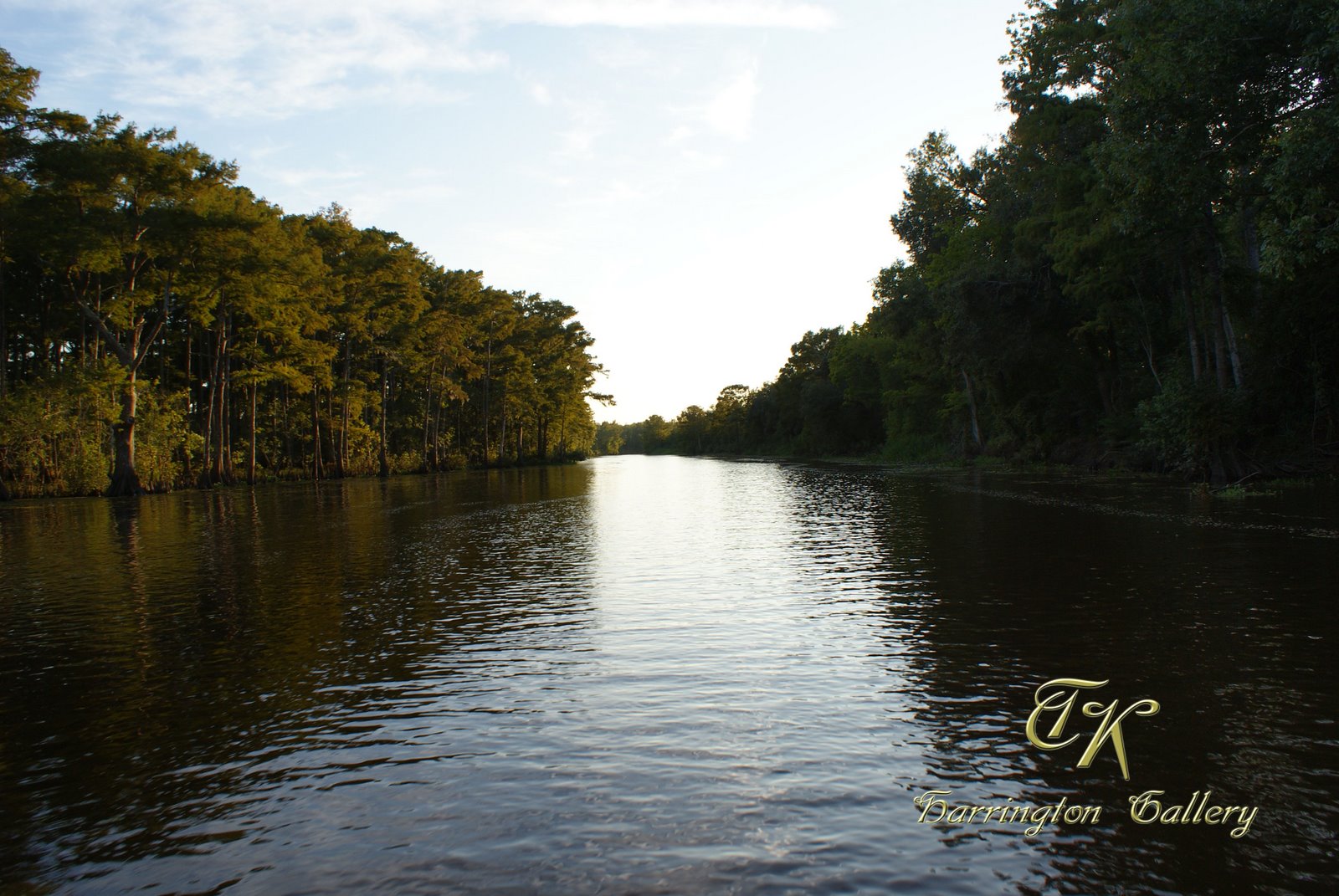 The Beauty of Texas.