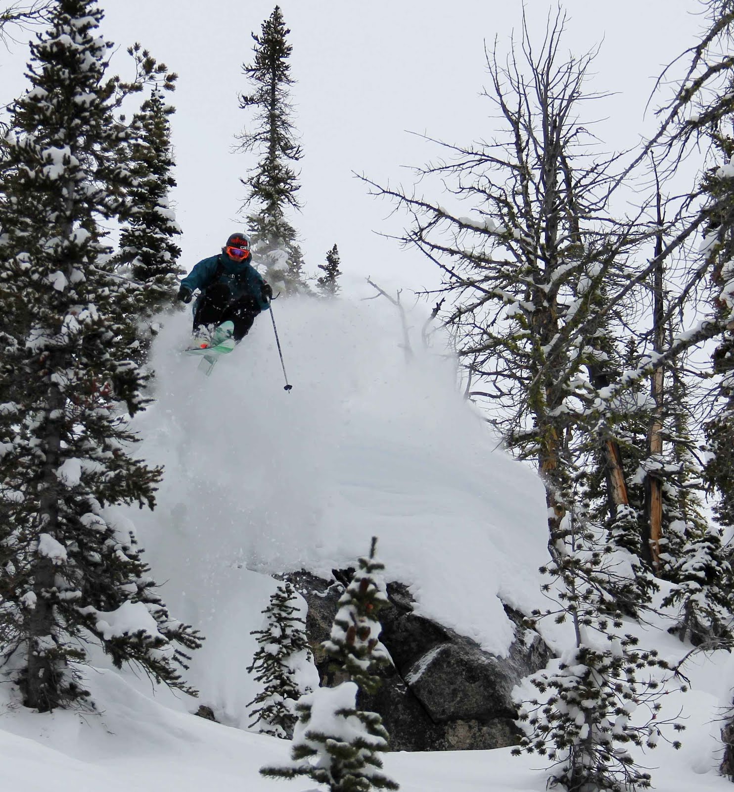 Daryl Treadway's Stories & Videos