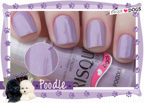 Floco Di Neve: dezembro 2011