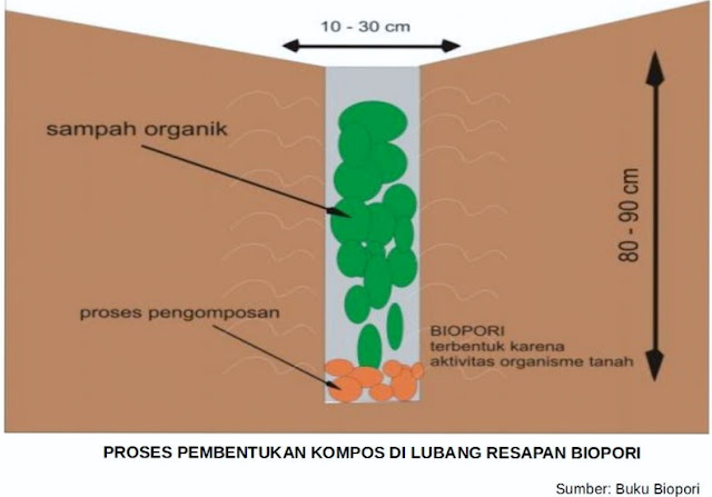 Informasi Lengkap tentang Lubang Resapan Biopori Bagi Yang Peduli ...