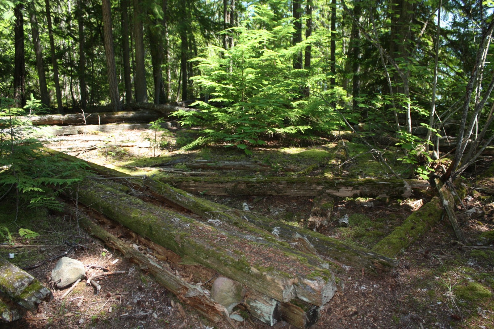 Get Me Outdoors: Shuswap