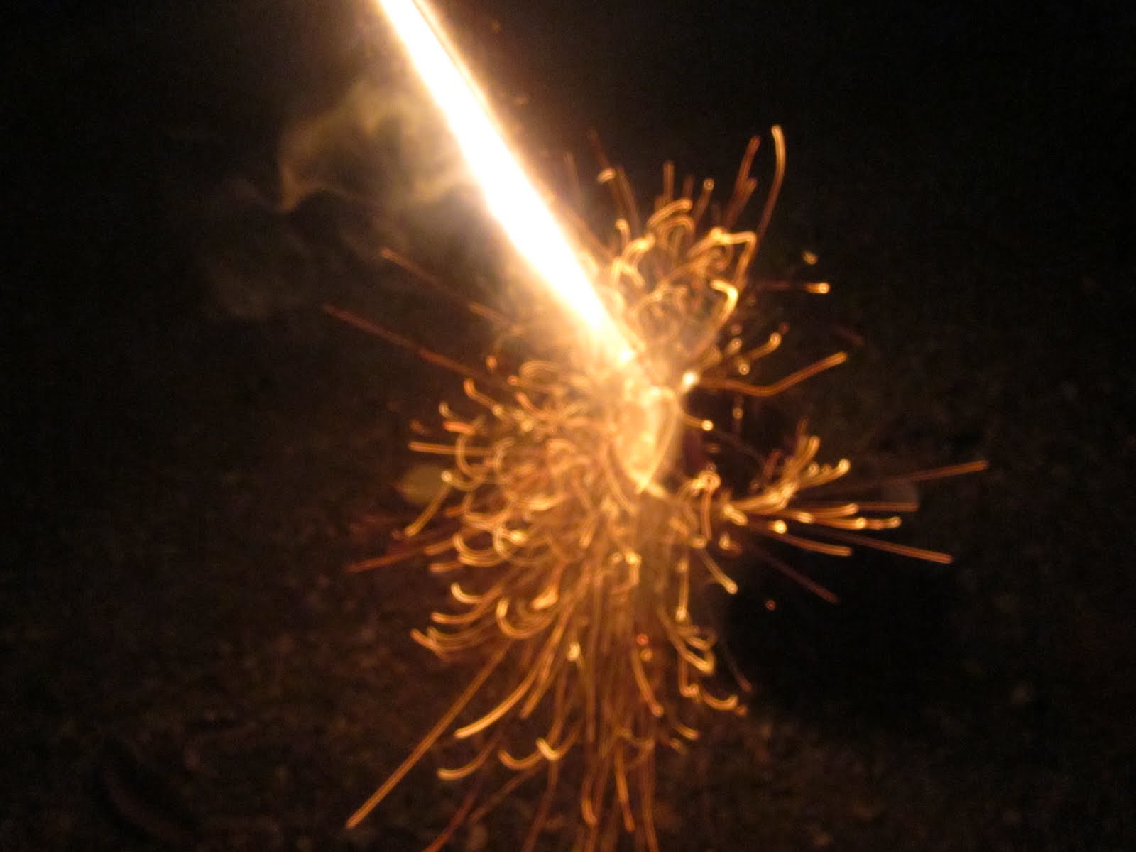 Acara Tahunan Setiap Kali Raya | Main Bunga Api!! - Enchanted Life Begins