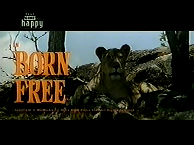 [Expirados.com.br]: [DVD] Filme: A História de Elza / Born Free - 1966