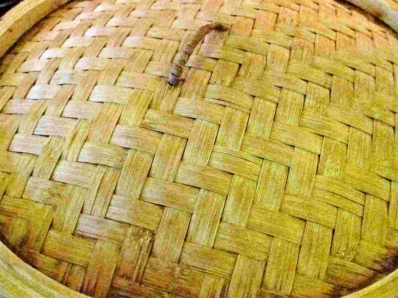 Recipes for Tom: Chuka chawan mushi / Chinese savory custard