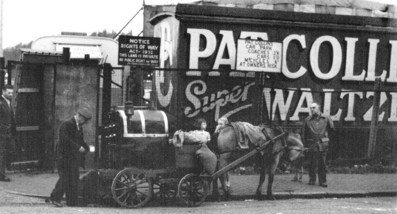 Tamed: The Onion Fair