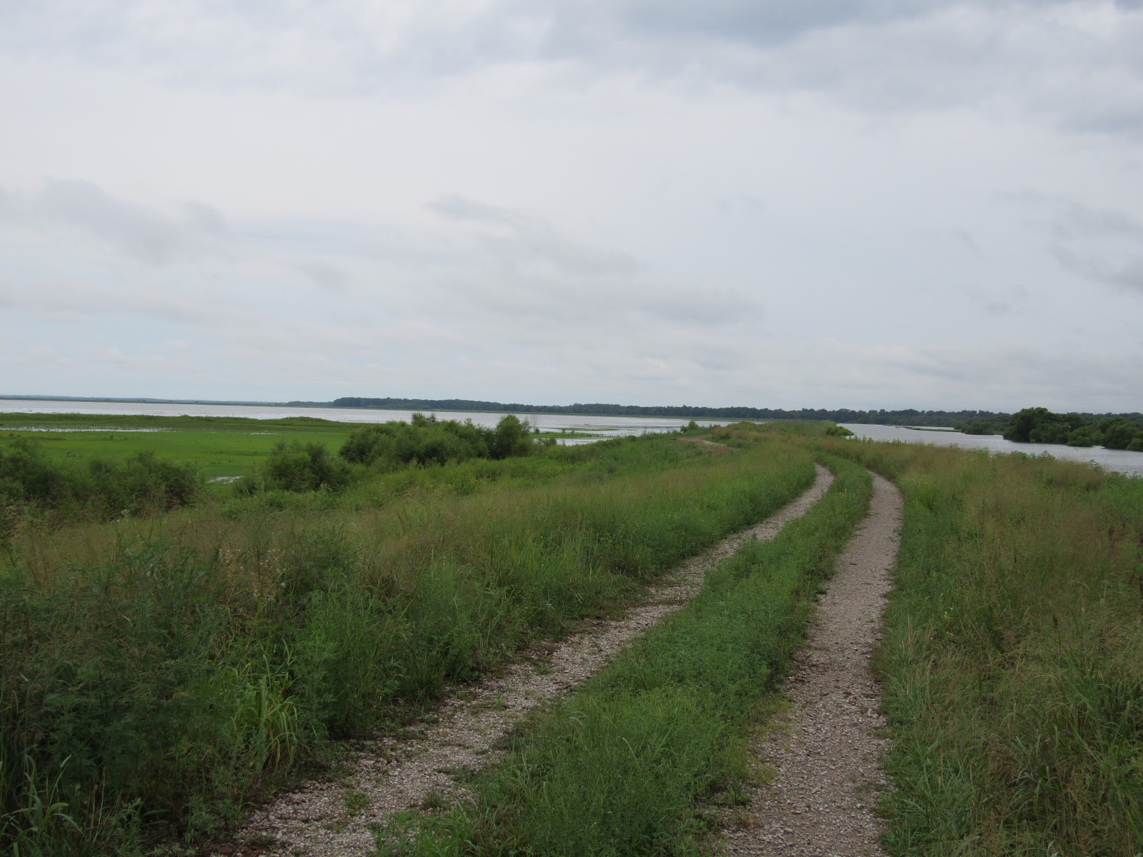 The Wild Land of Lincoln: Dead Carp, Trespassing, and... Goofy Ridge ...