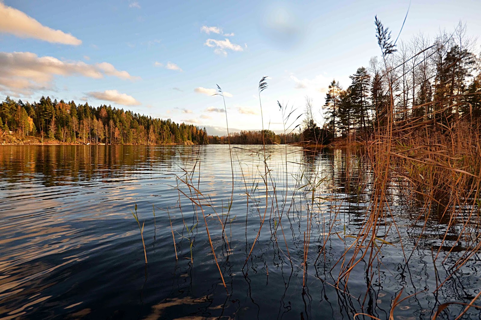 Salainen saari: Kuvia Enäjärveltä