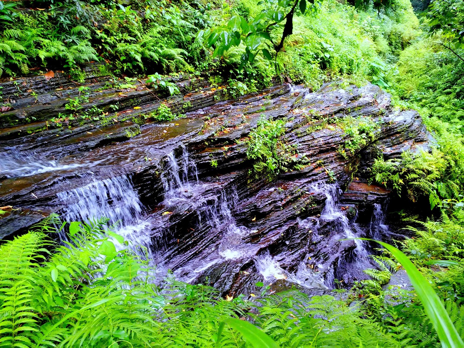 Batangas Travel Destinations and Nature Tripping - moredantravels