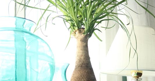 Romppala - Linda's Home & Garden: Täydellinen vihreys