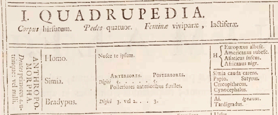 Until Darwin: Science and the Origins of Race: The Quadrupedia and the ...