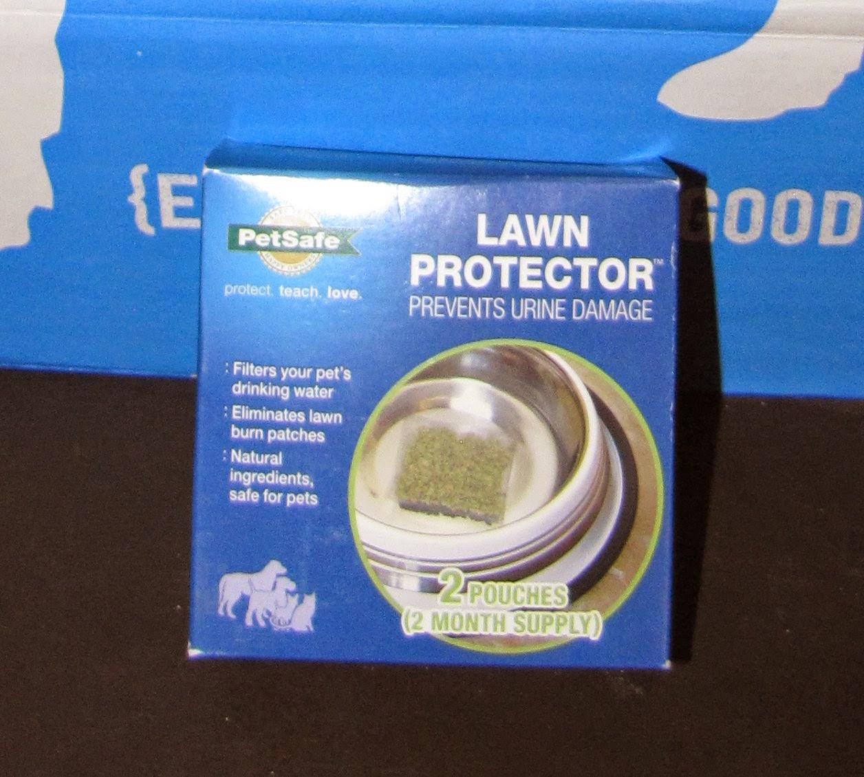 ZoePhee: Petbox Review