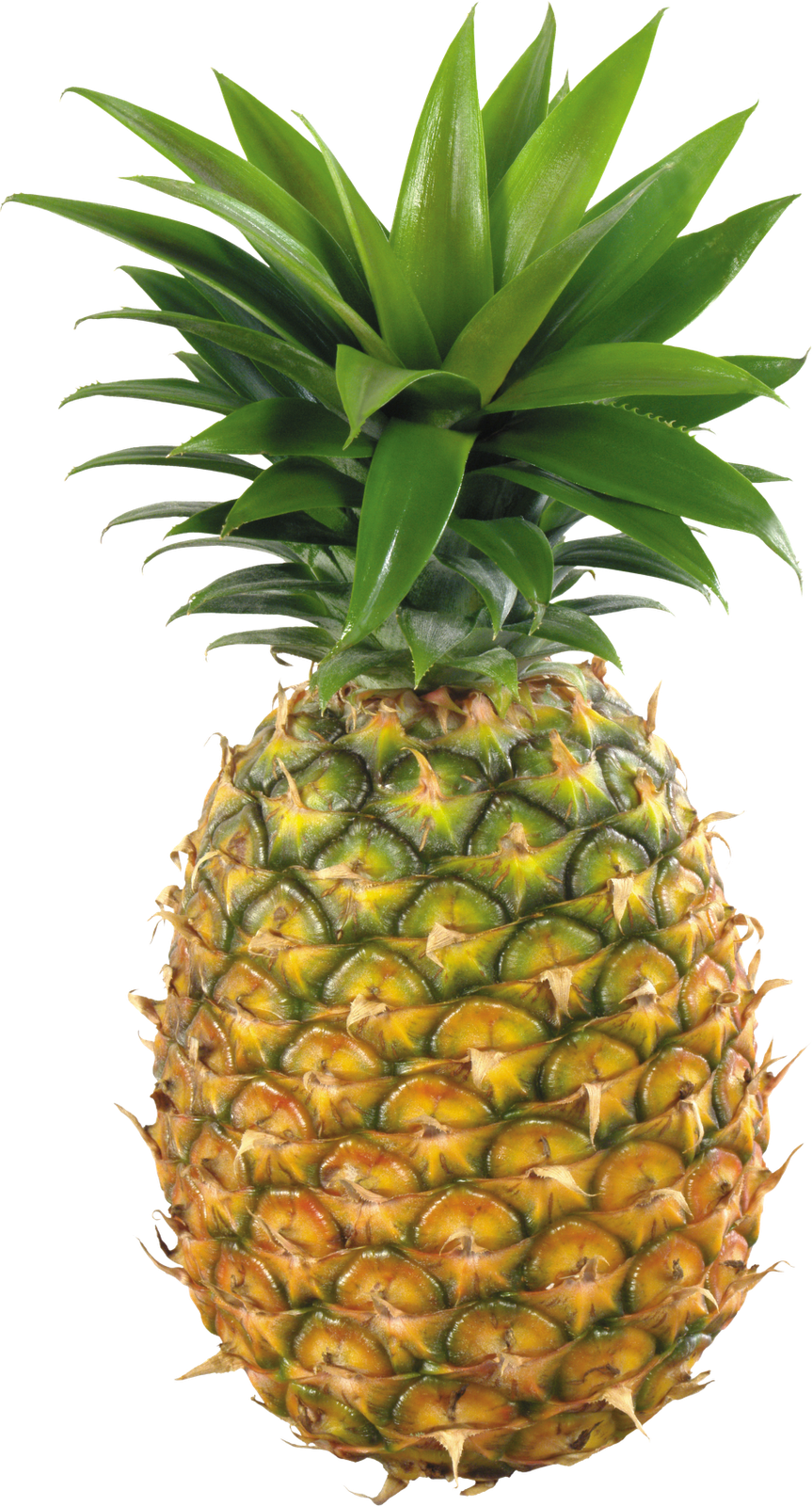 Not Arşivi: Ananas Resimleri