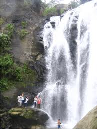 MESA CUNDINAMARCA: MACADAMIA PARQUE NATURAL