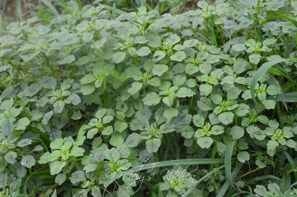 Mely's kitchen: Ginisang Kulitis