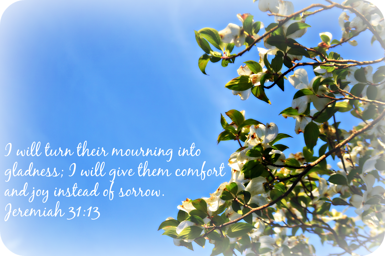 The Life of Jennifer Dawn: Happy Sunday