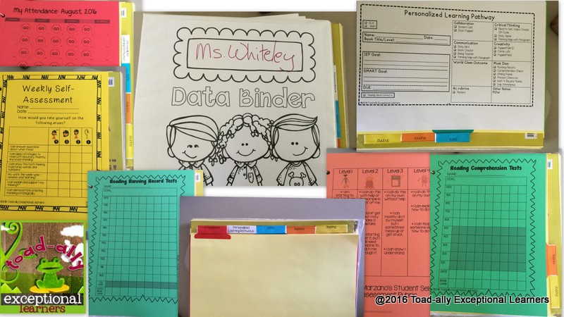 Toad-ally Exceptional Learners: special education