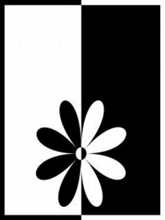 Black And White Flower Animated Wallpaper - Easy Pic Download