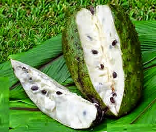 AYUYANG TI AG-GAGAYEM: The Healing Benefits of GUYABANO (SOUR SOP) TEA
