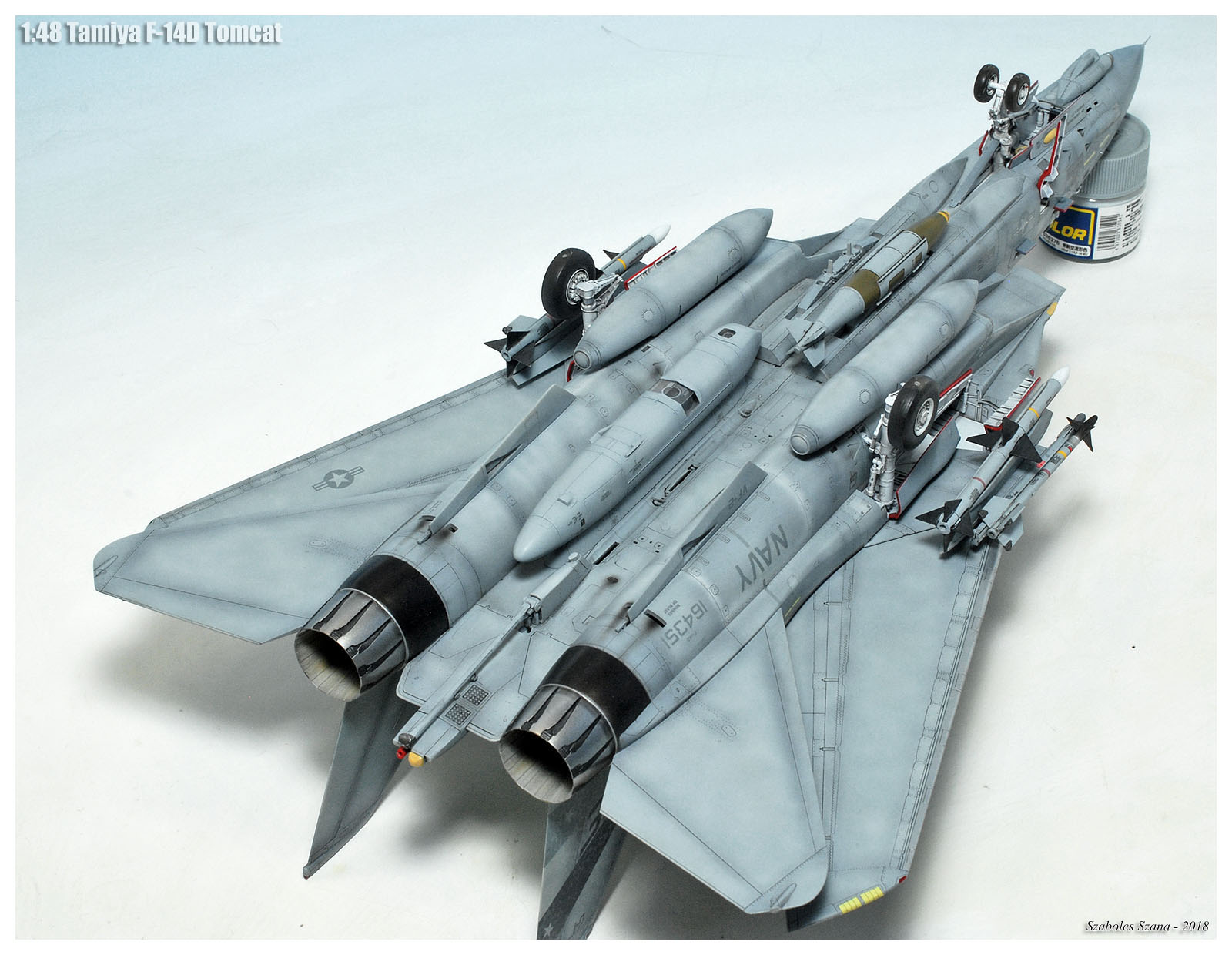 Wings of Glory: 1/48 Tamiya F-14D Tomcat