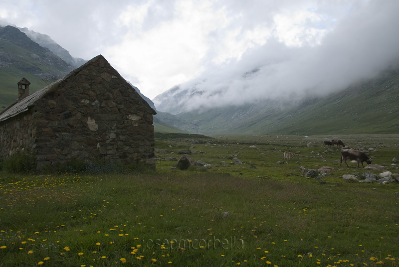 Fent camí: Camí dels enginyers: de Núria a Coma de Vaca