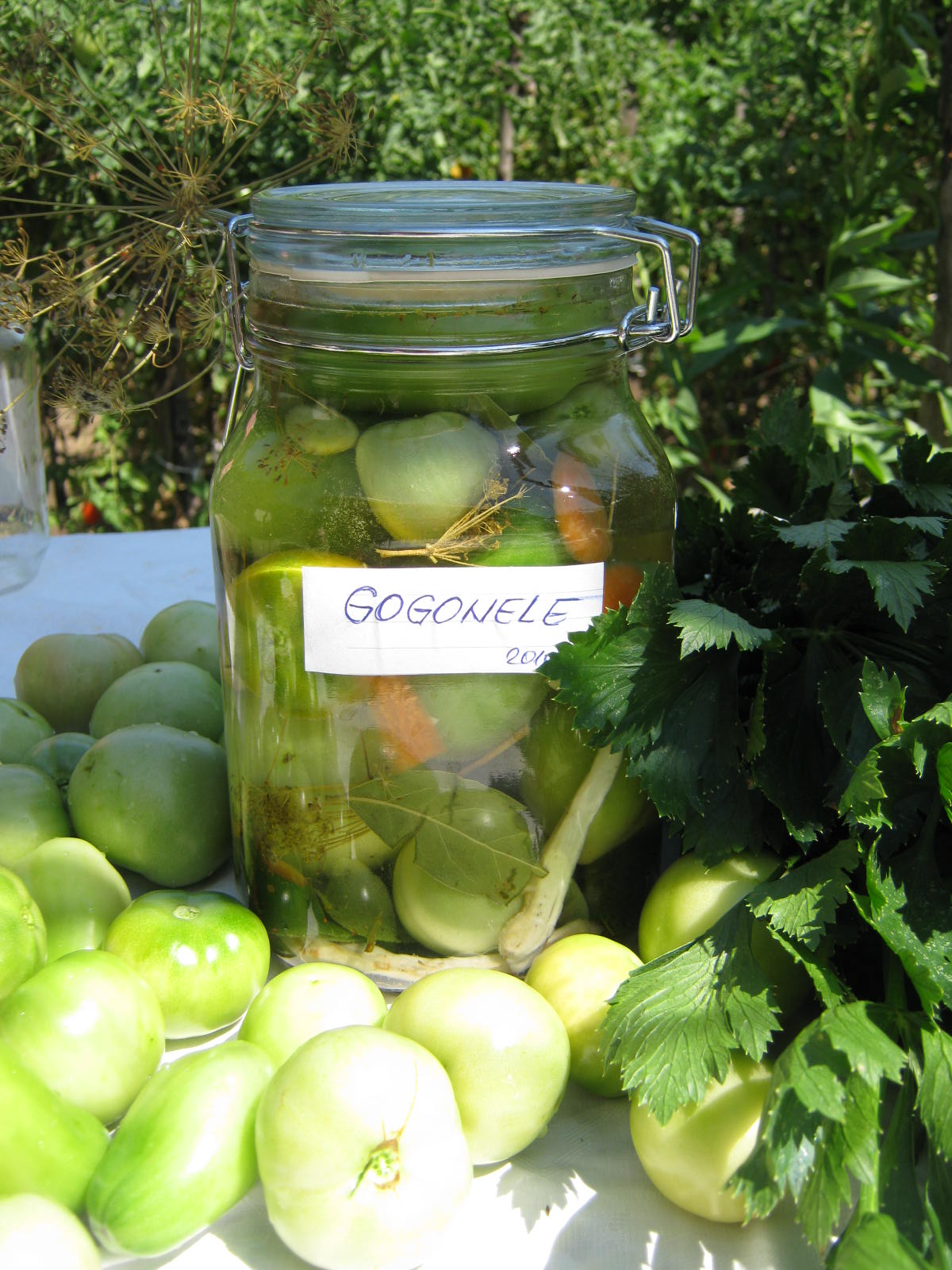 Gatim impreuna!: Gogonele