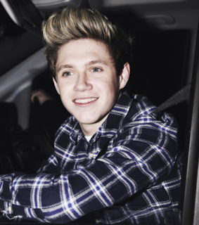 Just One Directioner.