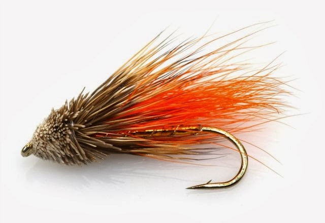 Adictos a pescar - Todo sobre la pesca