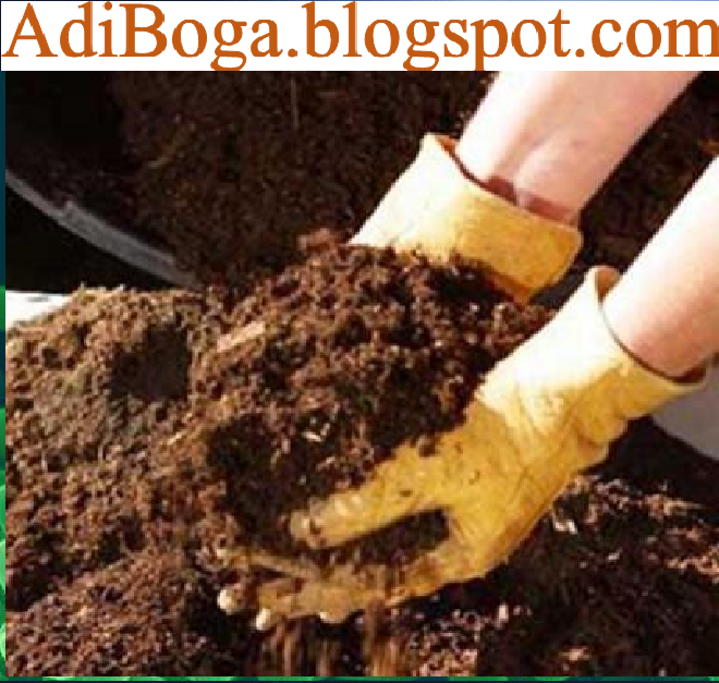 Adiboga.blogspot.com: Cara membuat kompos dan pupuk organik