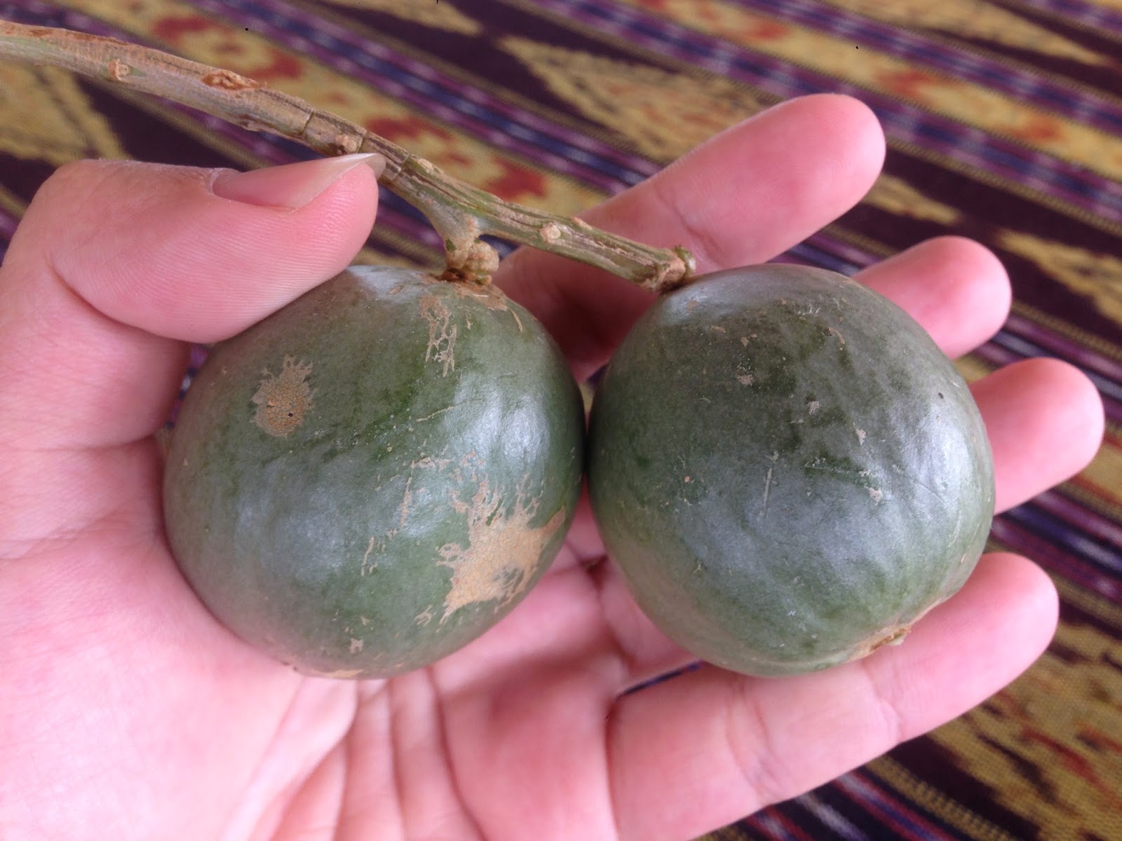 Gunung Mulu National Park