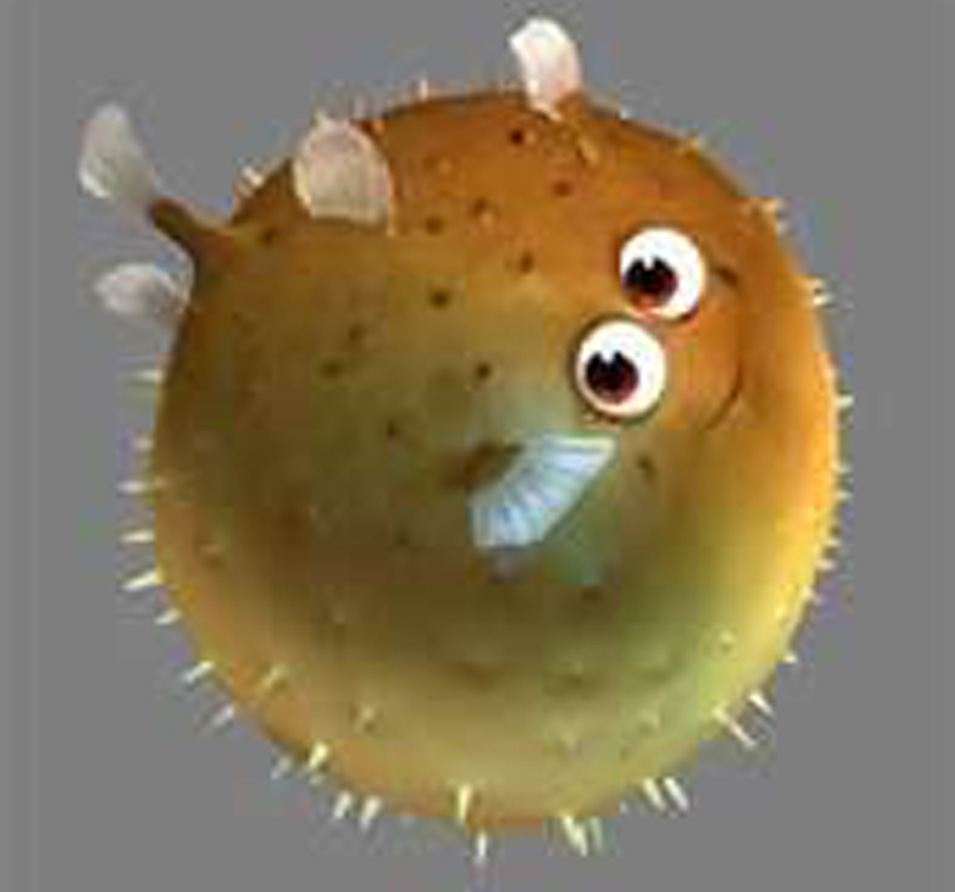 5 Disney Animal Bloat From Finding Nemo Cartoon Pictures