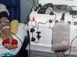 Campanha para Doação de Médula - AÇAI AZEDO