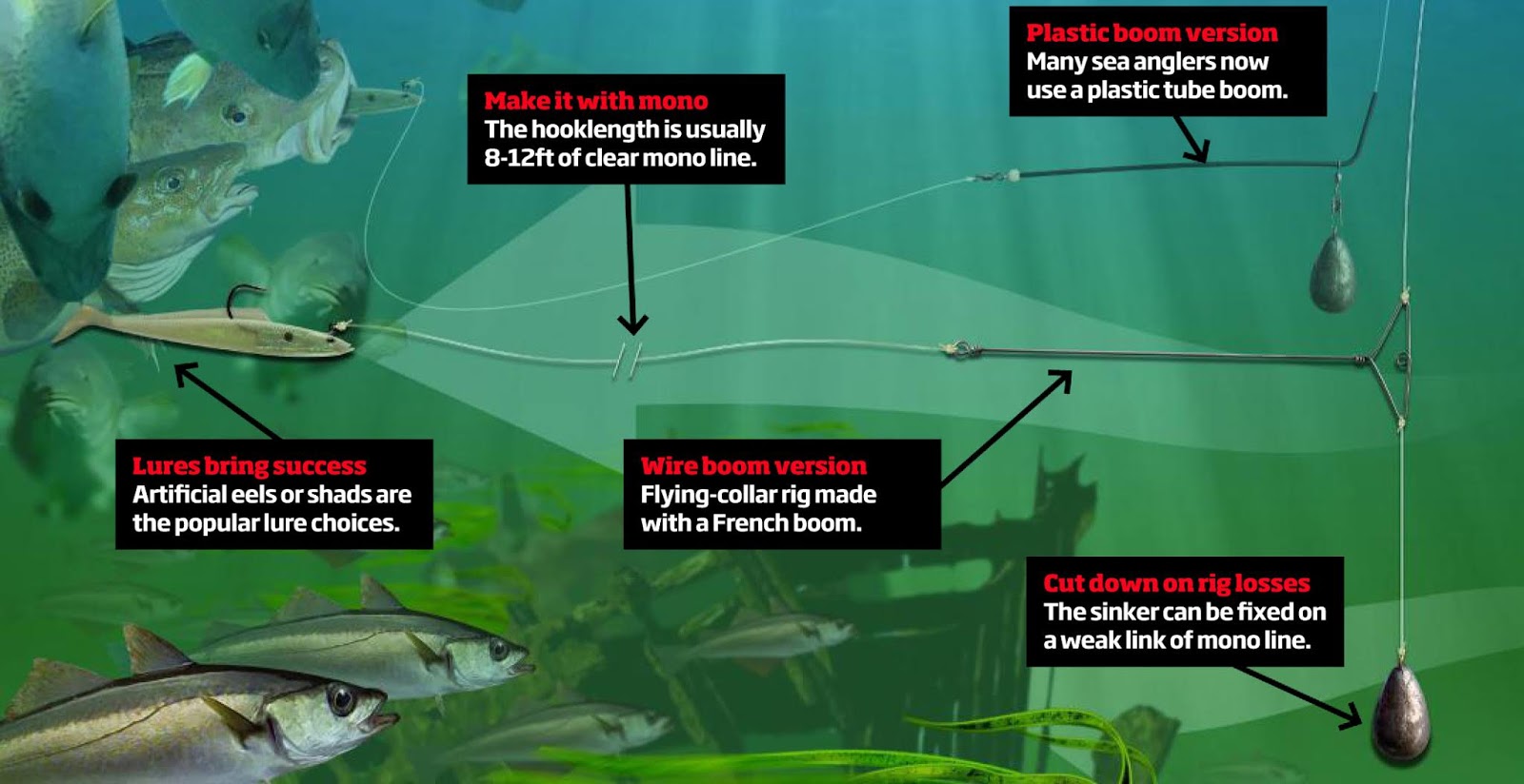 Fishing For Pollack From A Boat