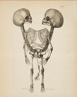 The Body Blog: Body Double