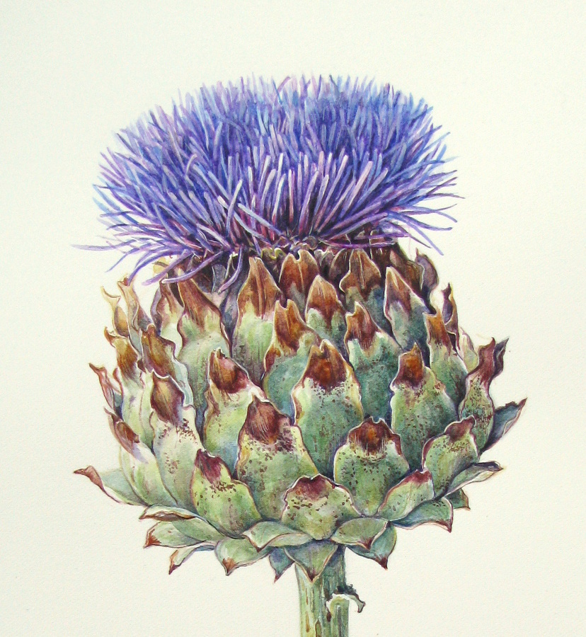 Botanical Sketches and Other Stories: April 2015
