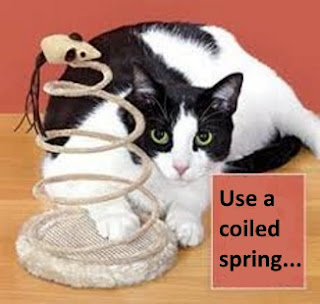 Wacky Wednesday Spring