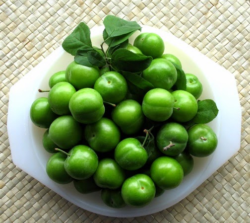 The Nature of My Memories: Canerik