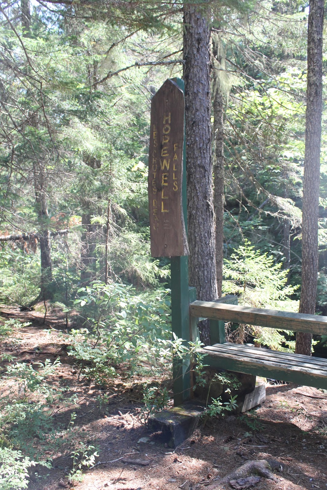 Explore Miramichi With Me: Things to Do: Little Sheephouse Falls