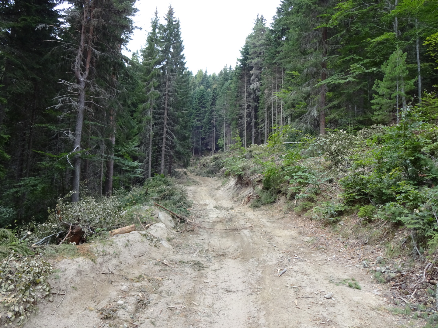 E4 Long Distance Walk in Bulgaria: Popovi Livadi hut to Slavyanka hut ...