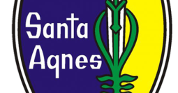 Makna Logo Santa Agnes - Lukas Media