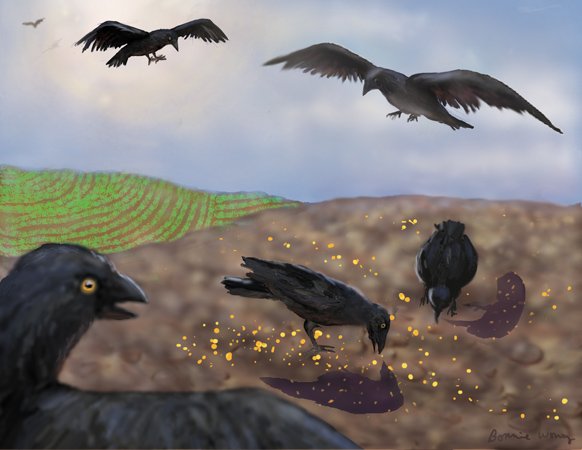 Thashiana Moutien: PARABLE OF THE SOWER- 1ST PART