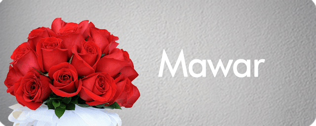 Jenis Jenis Mawar