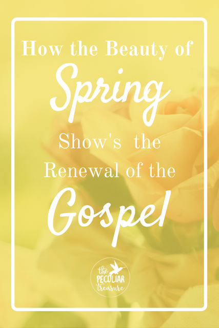 The Peculiar Treasure: How the Beauty of Spring Shows the Renewal of ...