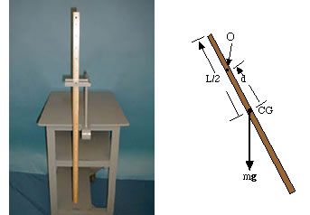 practical physics: experiment 10: Compound Pendulum
